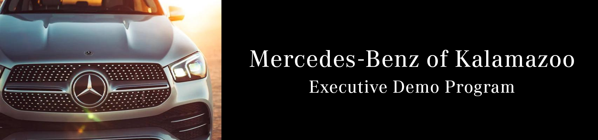 Executive Demo Program